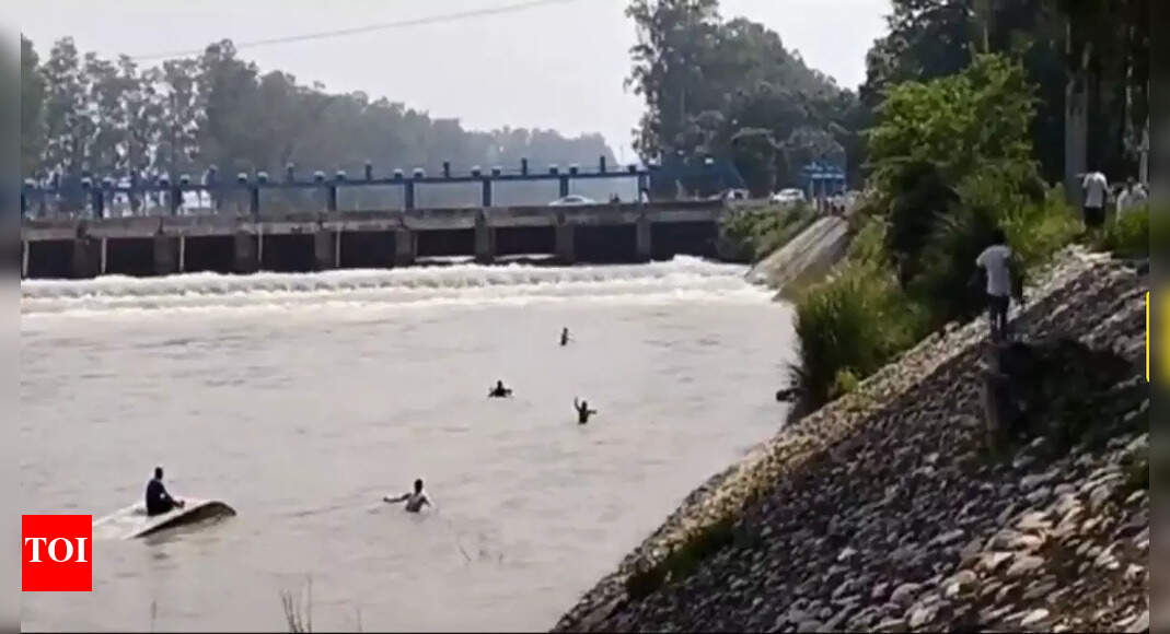 Haryana: Three drown in Western Jamuna Canal | Gurgaon News - Times of ...