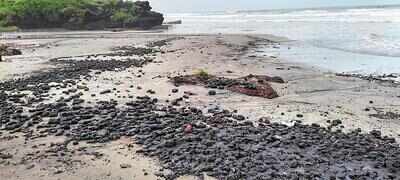 As tarballs continue to plague coast, experts push for source ...