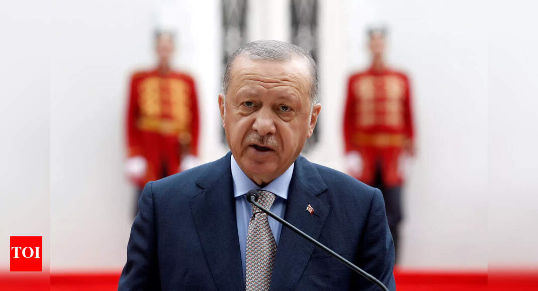 Grey Wolves: Will the grey wolves- Erdogan's long arm in the world-end ...