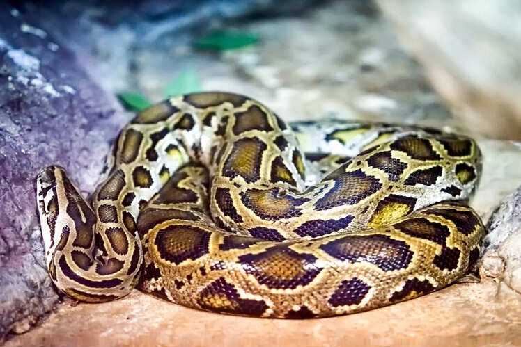 Most dangerous adventure destinations in the world | Times of India Travel