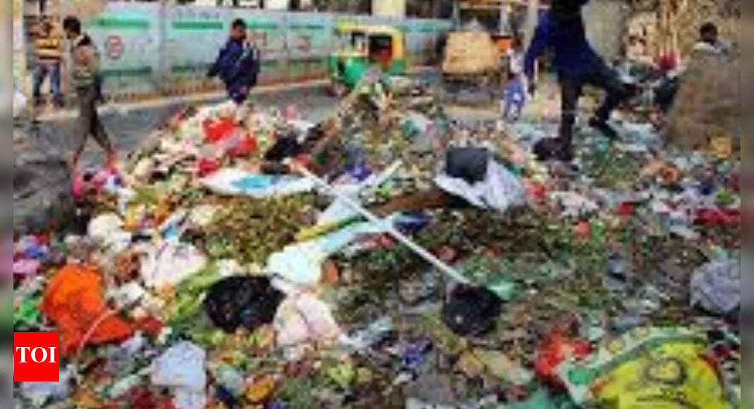 No garbage in Delhi in 6 months, claim civic bodies | Delhi News ...