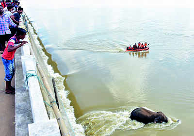 Odisha boat tragedy: Police launch probe, ODRAF operation questioned ...