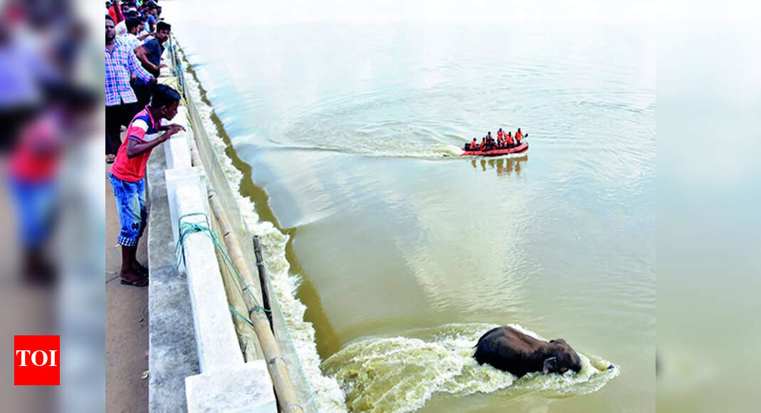 Odraf: Missing ODRAF jawan's body fished out 6km from mishap site ...