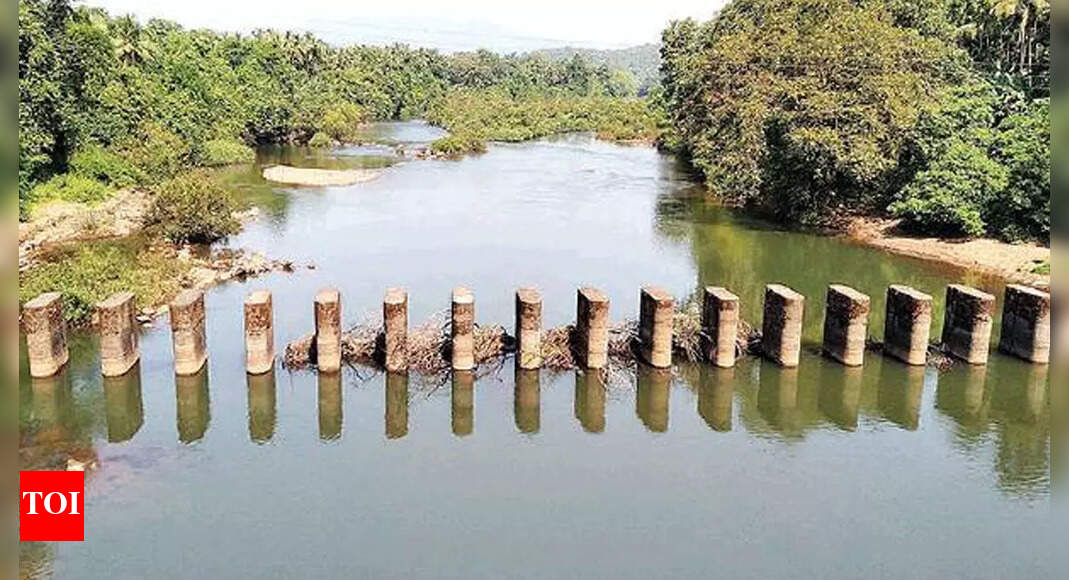 Smooth run for Goa’s rivers, but pollution deep | Goa News - Times of India