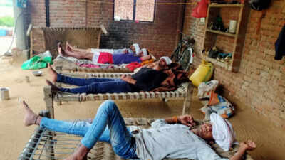 UP: Firozabad fever toll 175, of which 112 are kids; officials confirm ...
