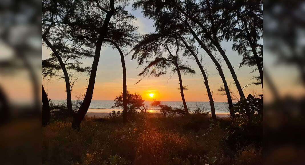 Goa: Reasons to visit Goa in autumn | Times of India Travel