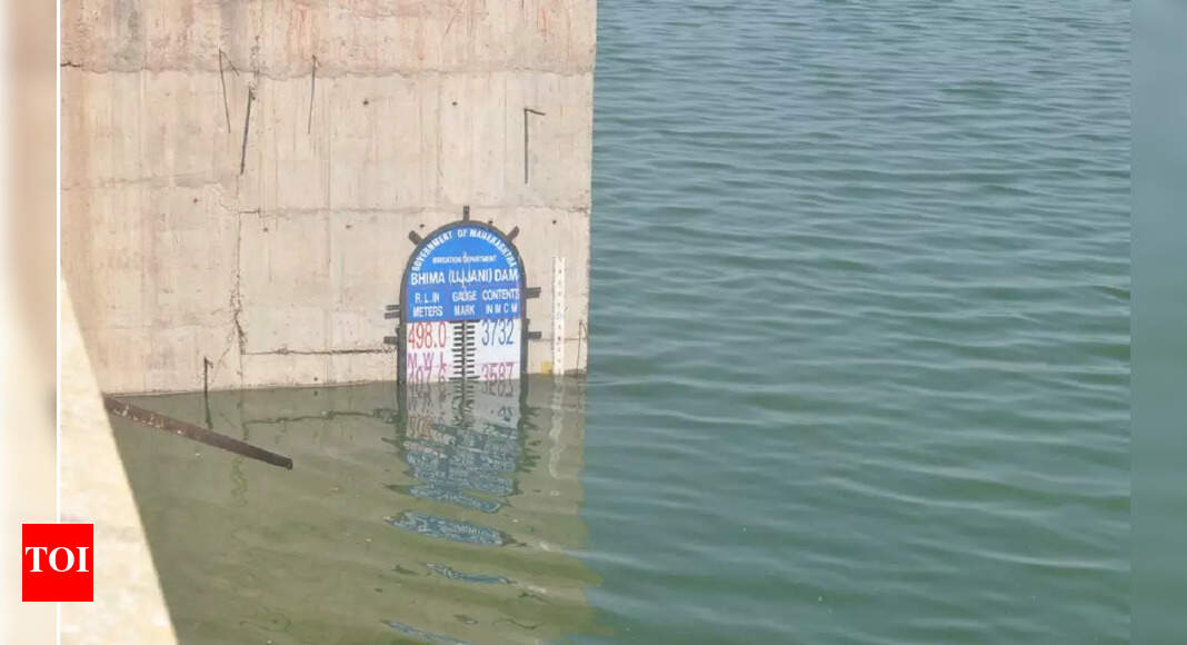 Maharashtra: Water stock in Ujani dam rises to 88.9 per cent | Pune ...