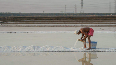 Extended rain hits salt production hard in Gujarat | Ahmedabad News ...