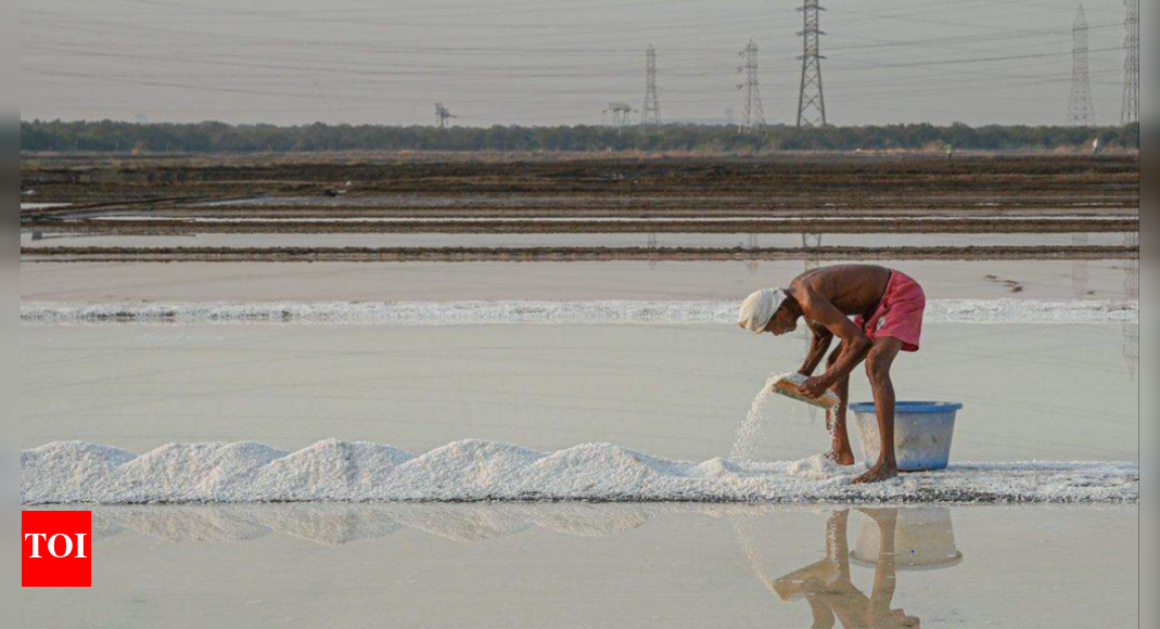 Extended rain hits salt production hard in Gujarat | Ahmedabad News ...