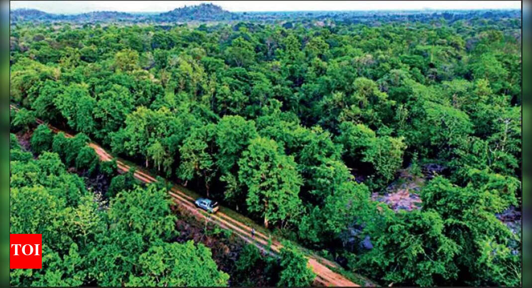 Telangana: Telangana Ku Haritha Haram, biggest plantation drive in ...