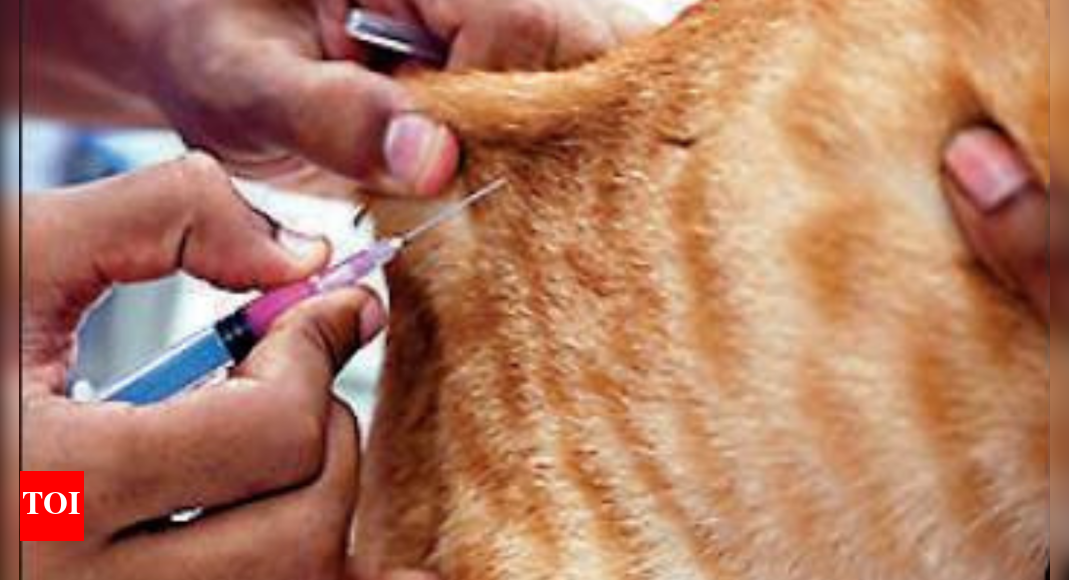 ICMR-NIV unveils rabies lab for surveillance; hopes to meet ‘zero death ...