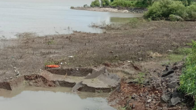 Navi Mumbai: Vast mangrove stretches chopped at Karanja, high-level ...