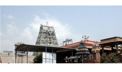 Devotees have offered 20 kg of gold to Triplicane Sri Parthasarathy ...