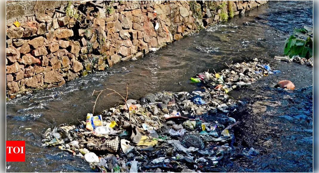 Waste: Govt launches web portal to find solutions to India's waste ...