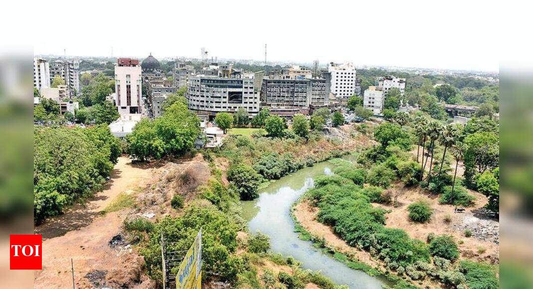Barodians to ‘march’ for revival of Vishwamitri | Vadodara News - Times ...