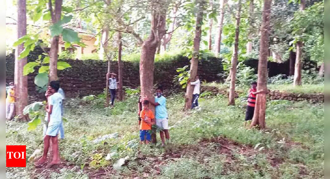 Goa: Children hug trees marked for felling at Chimbel historic site ...