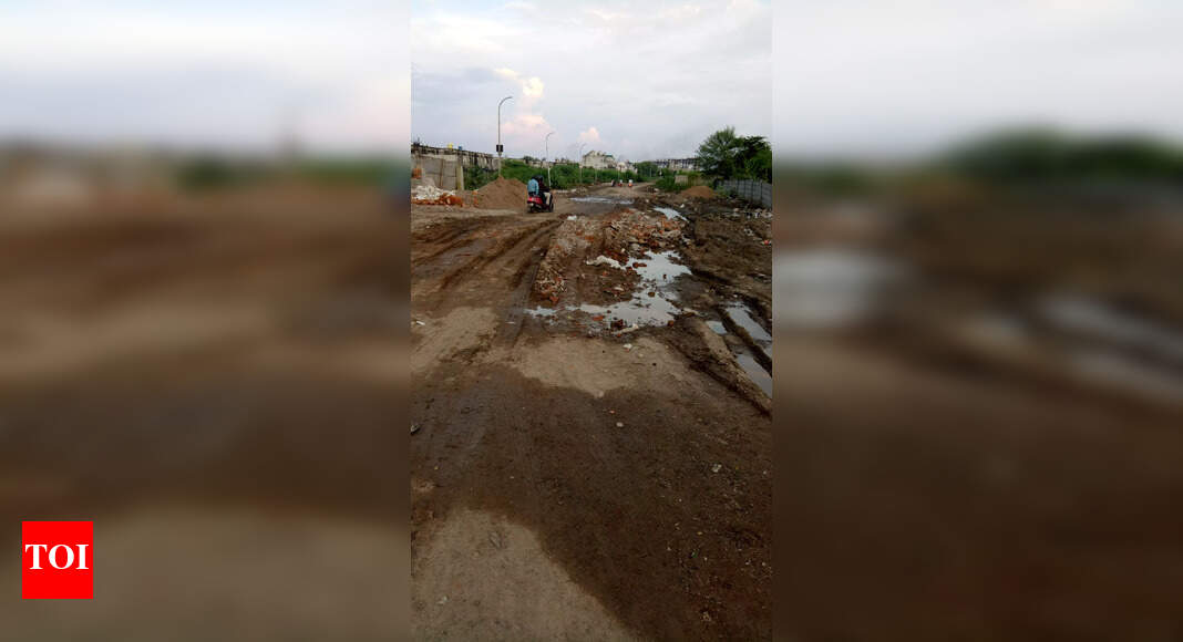 multiple potholes, stagnant water, no street light - Times of India