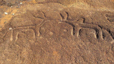Depictions of fauna reveal intriguing insights in ancient Goan art ...