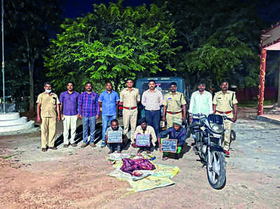 Forest dept intensifies vigil to save blackbuck | Hubballi News - Times ...