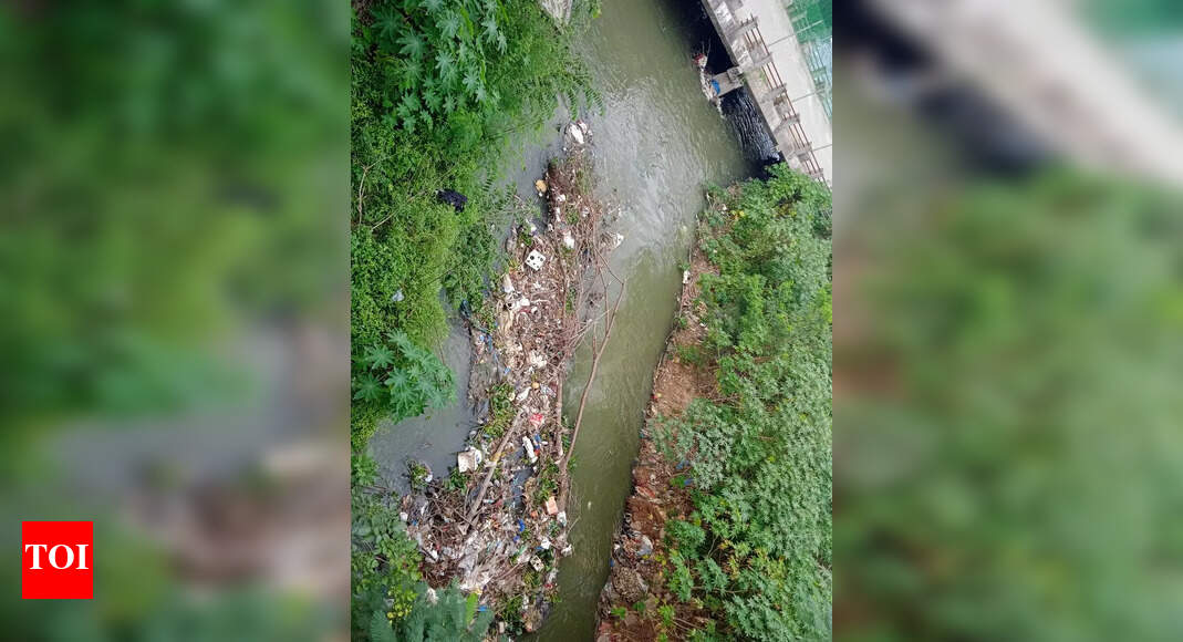 Tree blocking the Open Nala creating the blockage - Times of India