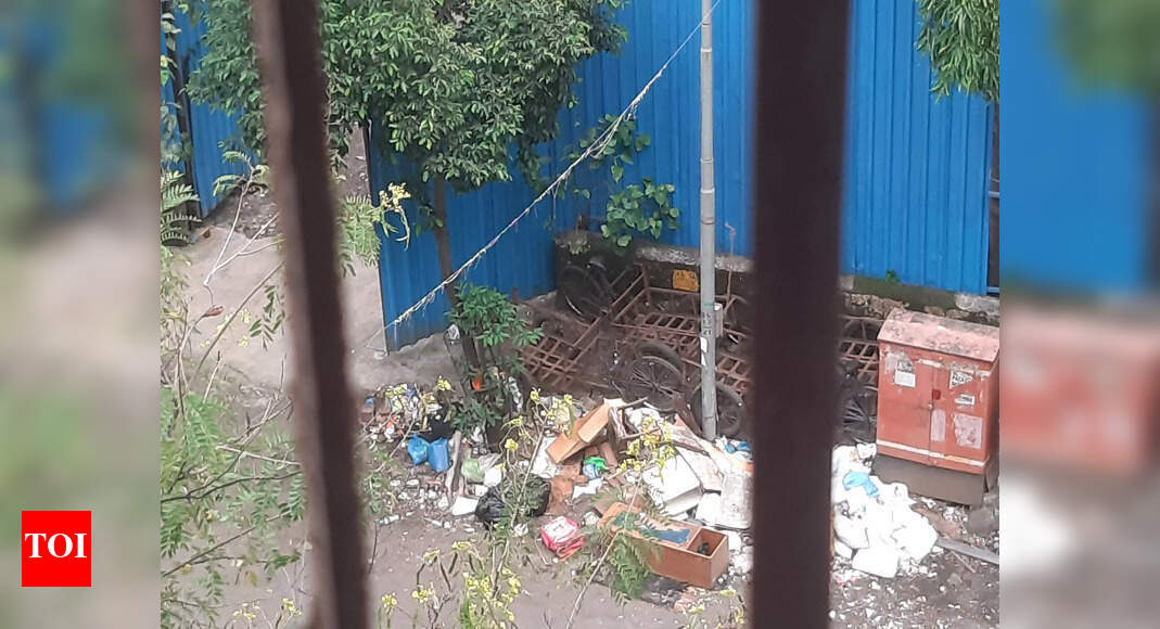 permanent garbage junction - Times of India