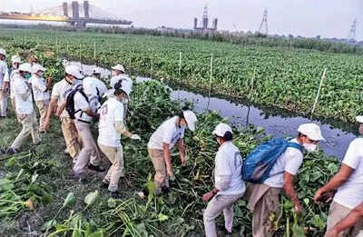 Delhi: Three-week Clean Yamuna Campaign kicked off | Delhi News - Times ...