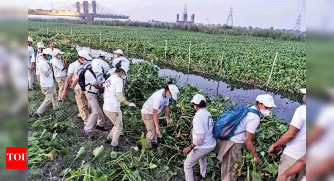 Delhi: Three-week Clean Yamuna Campaign kicked off | Delhi News - Times ...