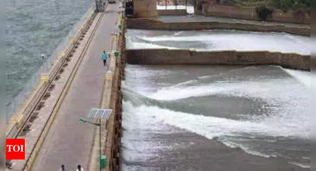 Tamil Nadu govt sets up 5 committees to check pollution of Cauvery ...