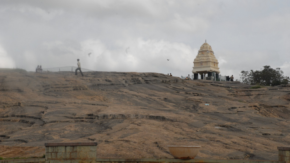 Lalbagh Botanical Garden: The pride of Bengaluru | The Times of India