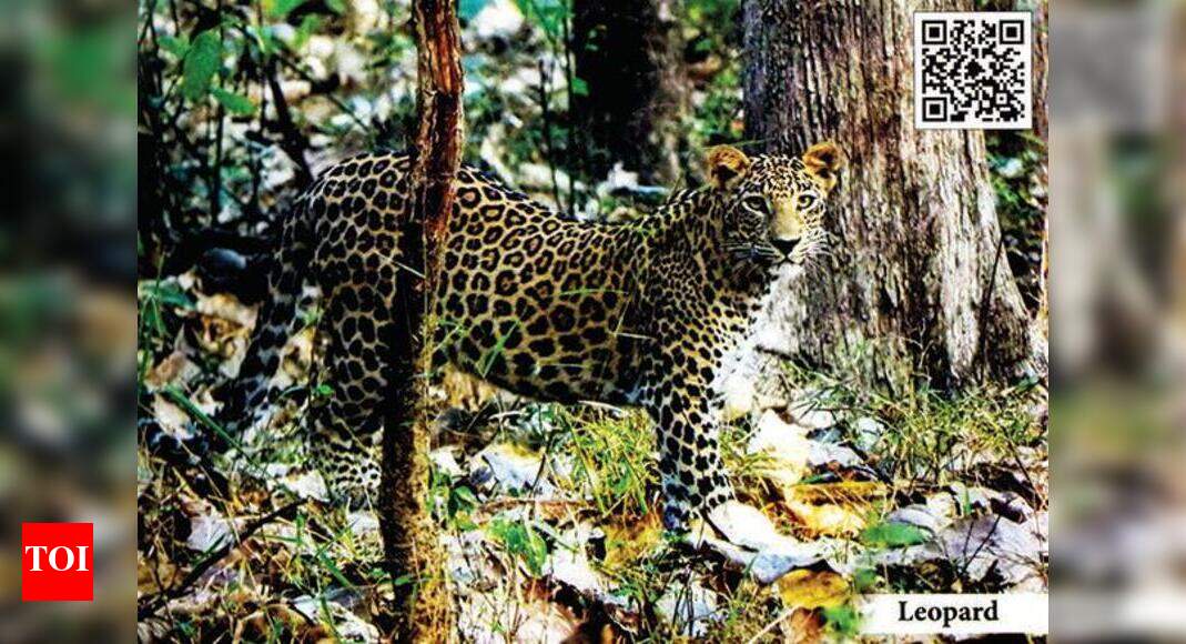 Goa Post releases set of 10 postcards on Bondla’s wildlife | Goa News ...