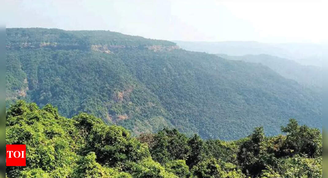 54 years after first sanctuary, Goa still has no management plan | Goa ...