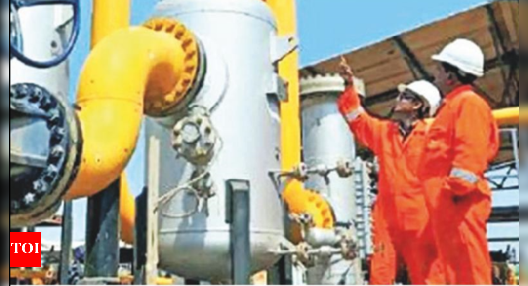 NTPC, Gujarat Gas ‘blend’ hydrogen for homes | Ahmedabad News - Times ...