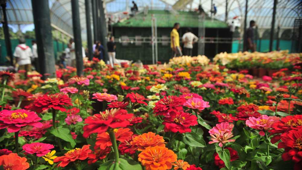Lalbagh Botanical Garden: The pride of Bengaluru | The Times of India