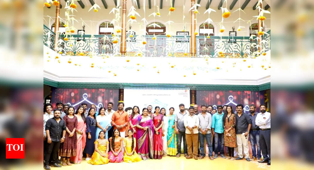 Enga Veetu Meenakshi to premiere on October 18 - Times of India