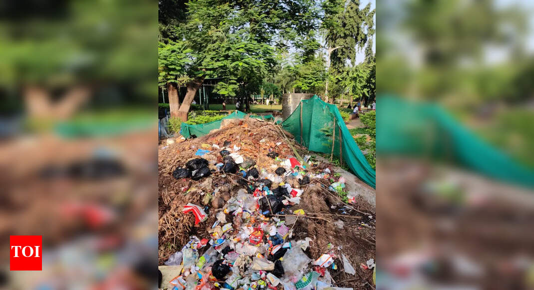 Mountain garbage view - Times of India