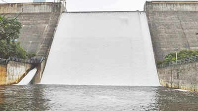 Tamil Nadu: Water released from dams in Theni | Madurai News - Times of ...
