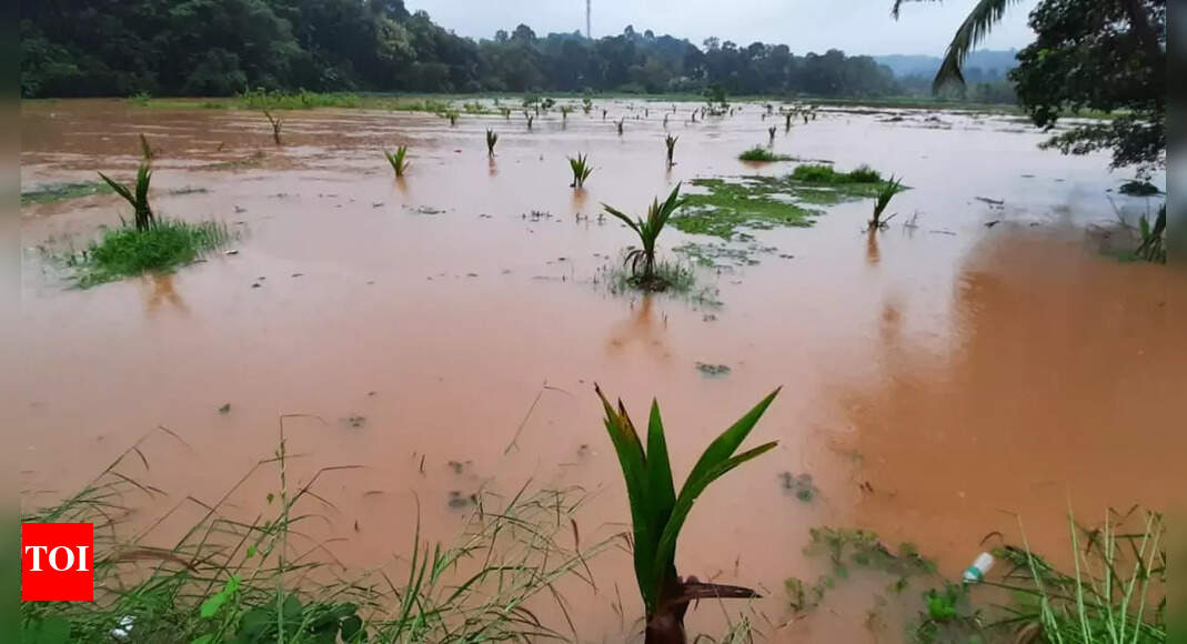 Heavy rain in Kerala, IMD issues red alert in 5 districts | Kochi News ...
