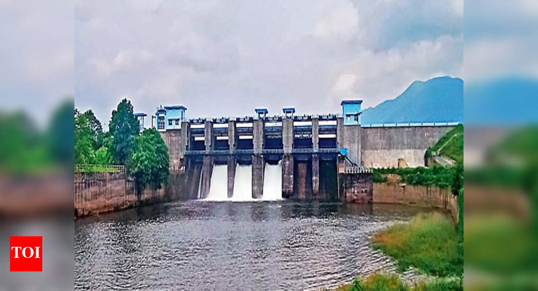 Kerala rains: Irrigation dept opens shutters of Malankara dam | Kochi ...