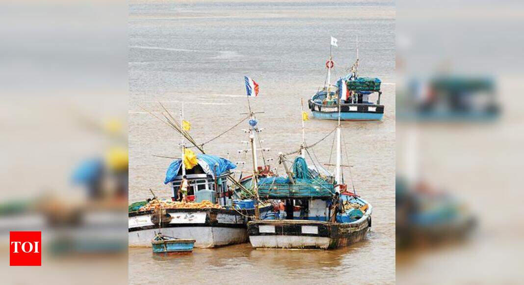 Congress slams fisheries mantri for bull trawling | Goa News - Times of ...