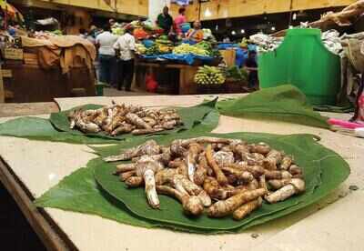 Biodiversity board begins drive to document wild mushrooms | Goa News ...