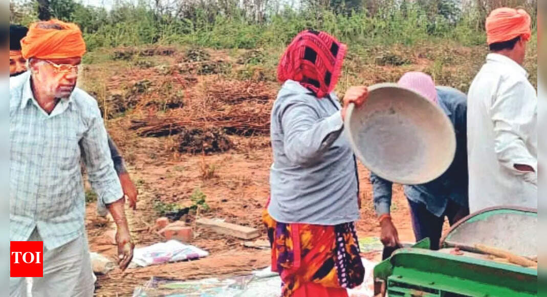 Rajasthan: Farmers jittery over rain; lightning kills girl in Dudu ...