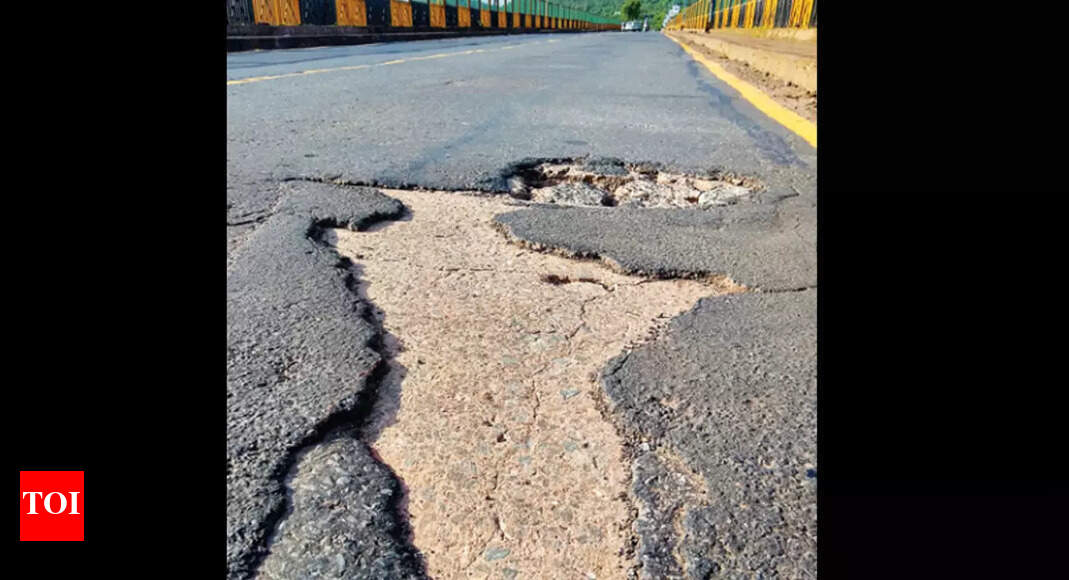 Goa: Third Borim bridge gets Centre’s nod, land acquisition to commence ...