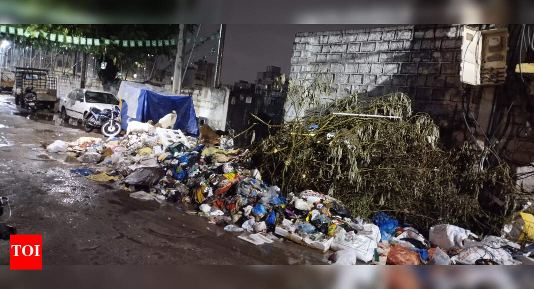 no garbage disposal since 5 Days - Times of India