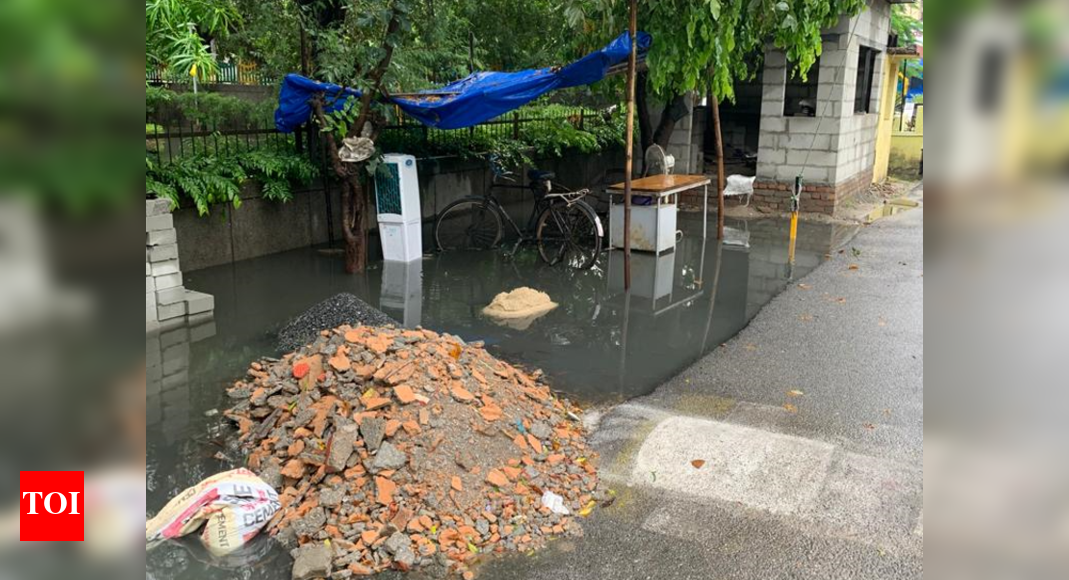 Need regular fogging and cleaning of drains: Noida residents | Noida ...