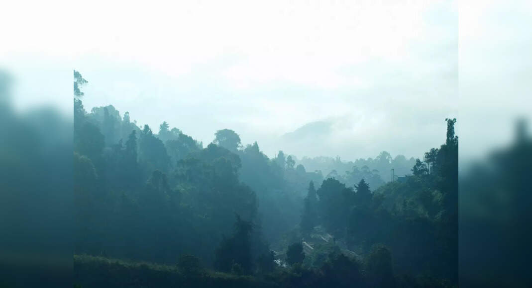 what makes coonoor a hidden gem? | Times of India Travel