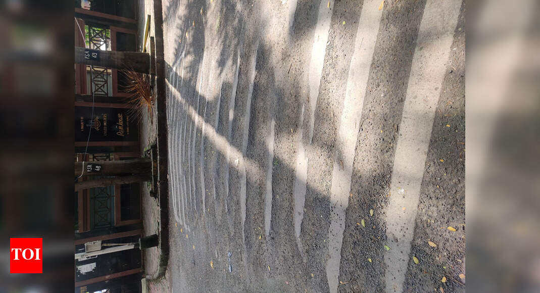 Dangerous speed breaker opp big bazaar Matunga rd - Times of India