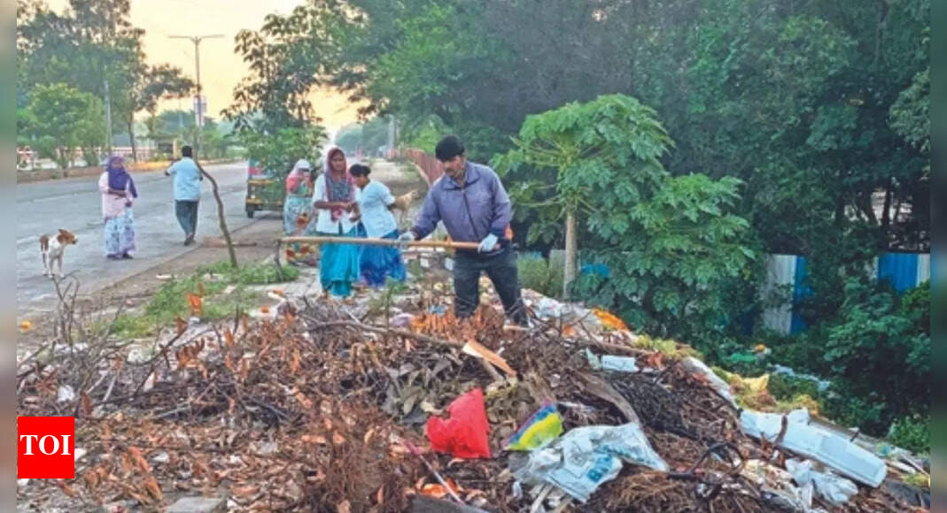 Maharashtra: Pune: Garbage piles up in Baner, ward office cites ...