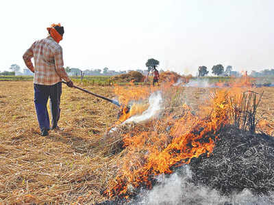 Farm fire’s share in Delhi’s PM2.5 at season high of 15% and rising ...