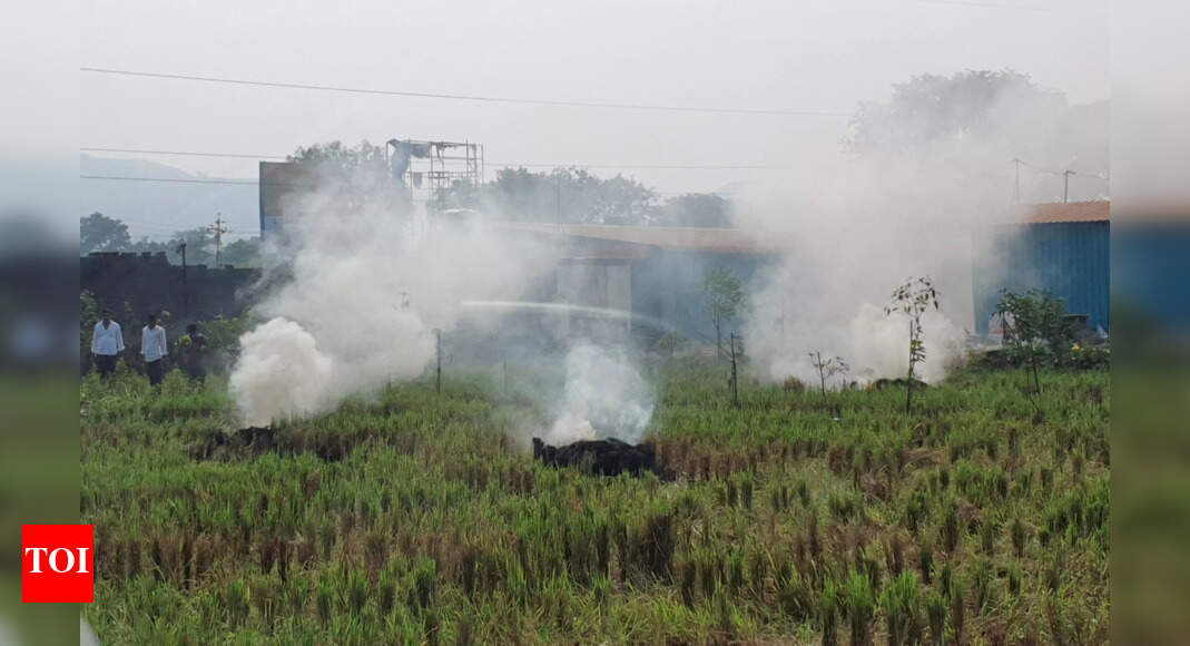 Major oil producer Saudi Arabia announces net-zero by 2060 - Times of India