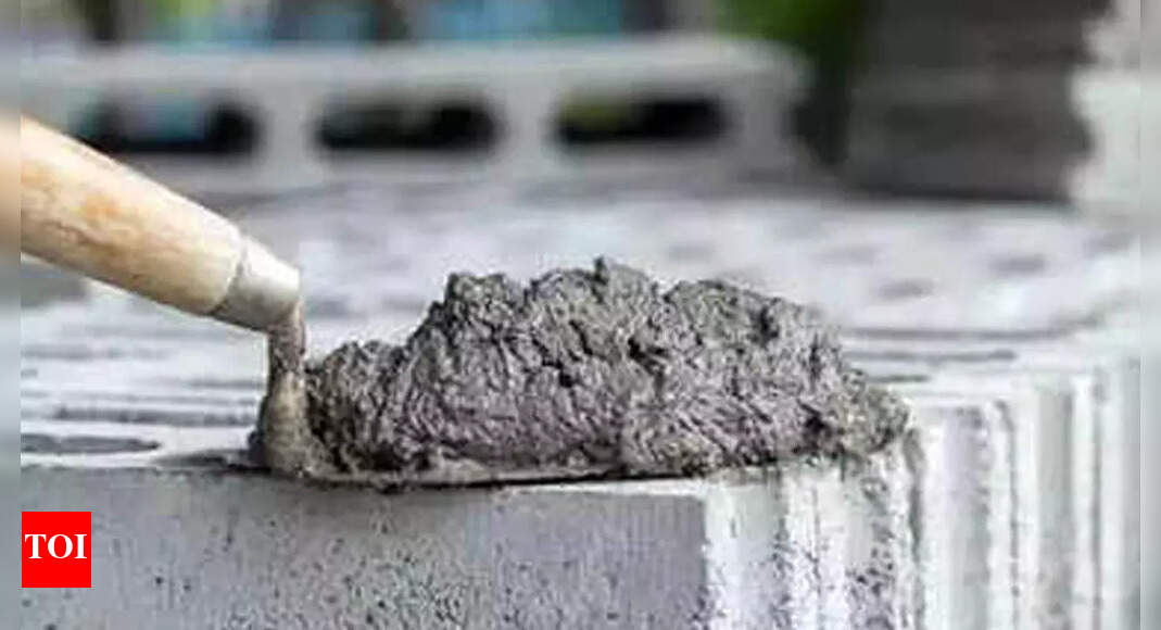 Tamil Nadu govt to launch brand Valimai, sell cement at subsidised ...